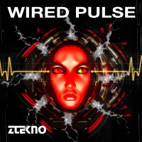 ZTEKNO Wired Pulse sample pack | 100% Royalty-Free